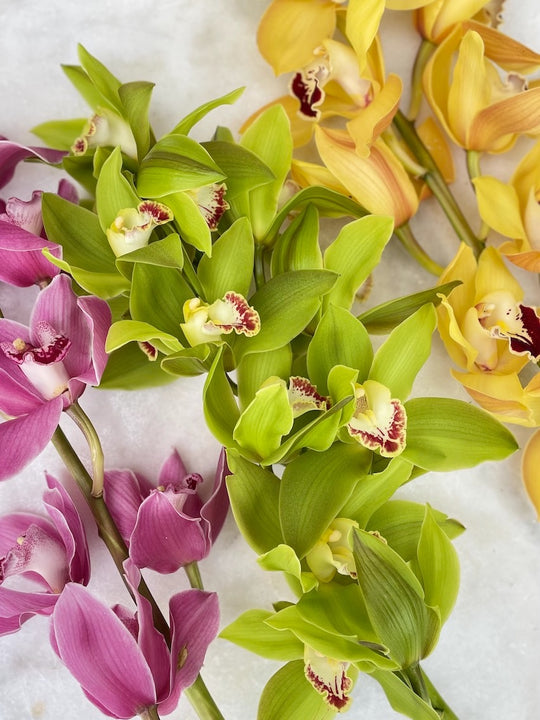 Flower Delivery Vaughan - Florist in Vaughan - Flowers Just Because